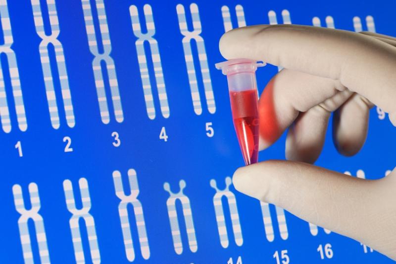 Ancient DNA Reveals Europe’s Dynamic Genetic History
