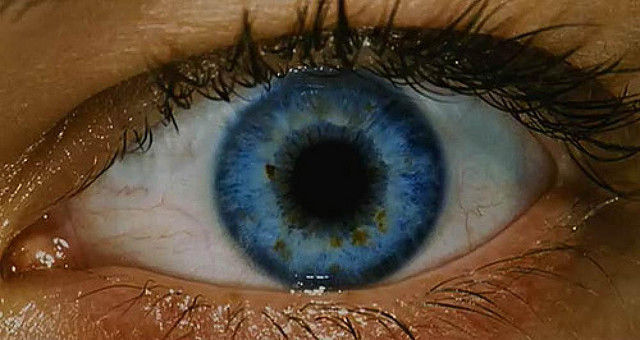 New insight into how blind people ‘see with sound’