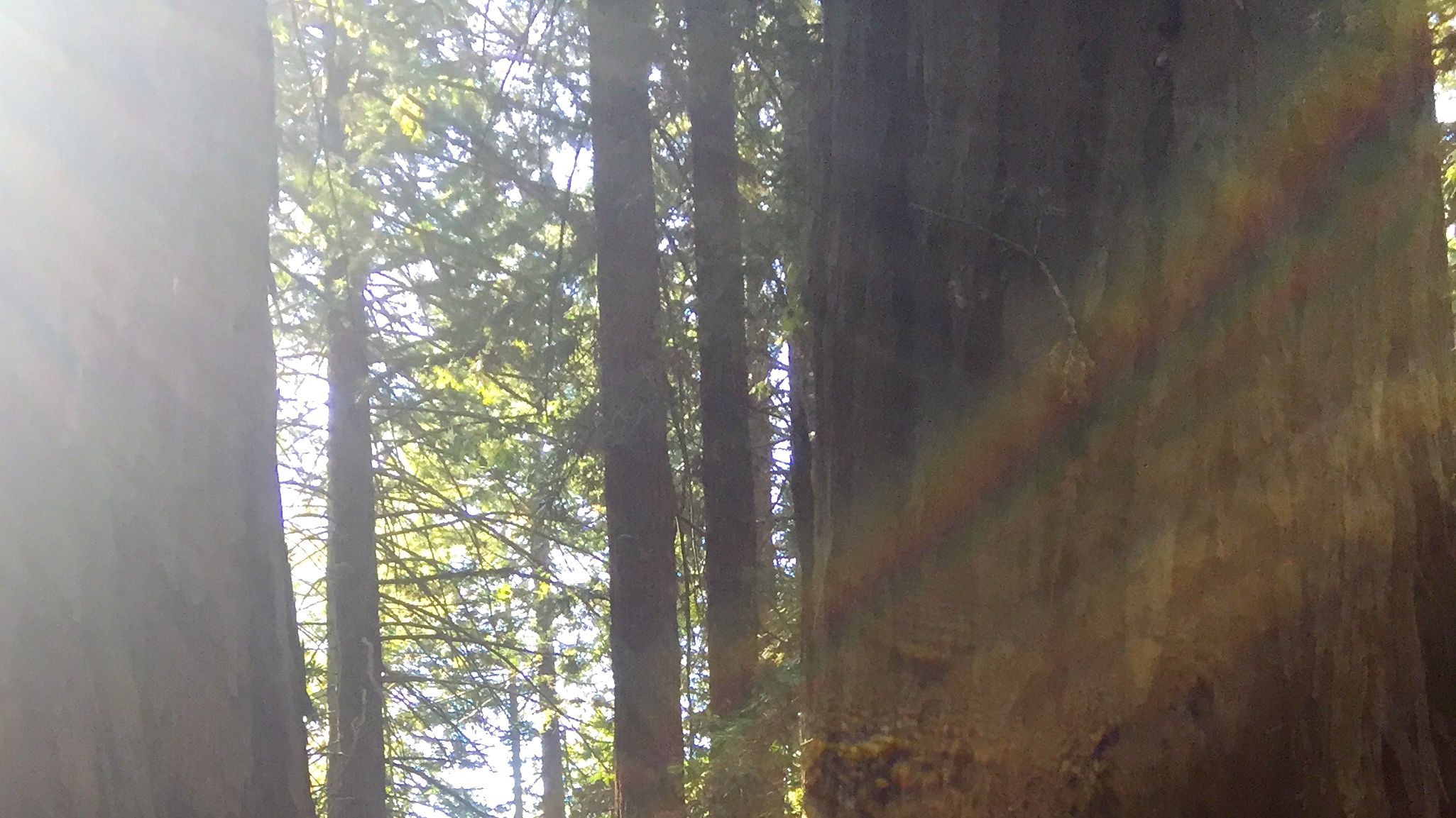 A Guide To Promoting From Within